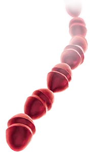Pulmolab - Rapid Diagnostics